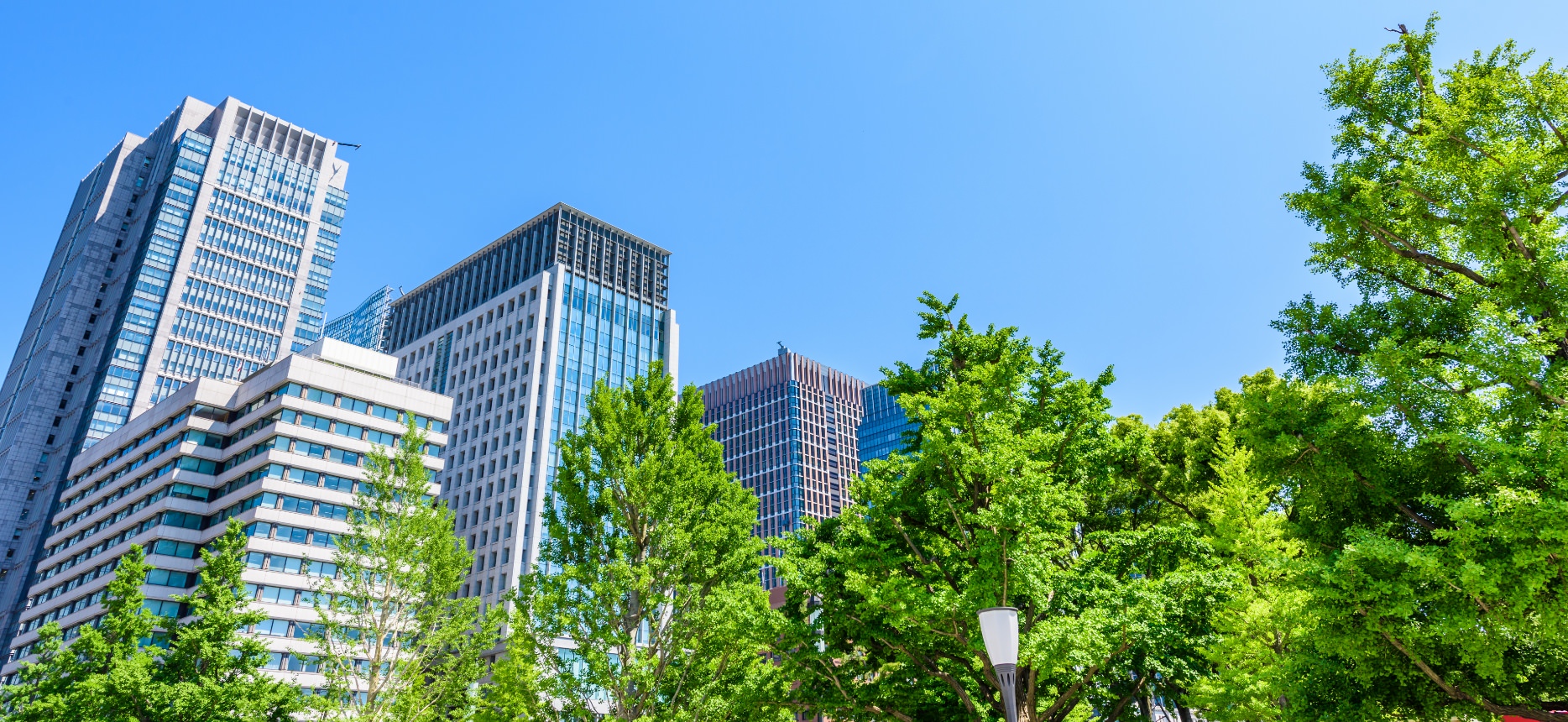 MCCトレーディング株式会社